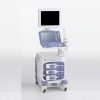 Aloka Prosound Alpha 6 ultrasound machine - Digital Ultra Sounds