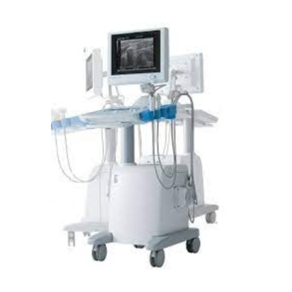 Honda Hs 2600 gray scale Ultrasound - Digital Ultra Sounds